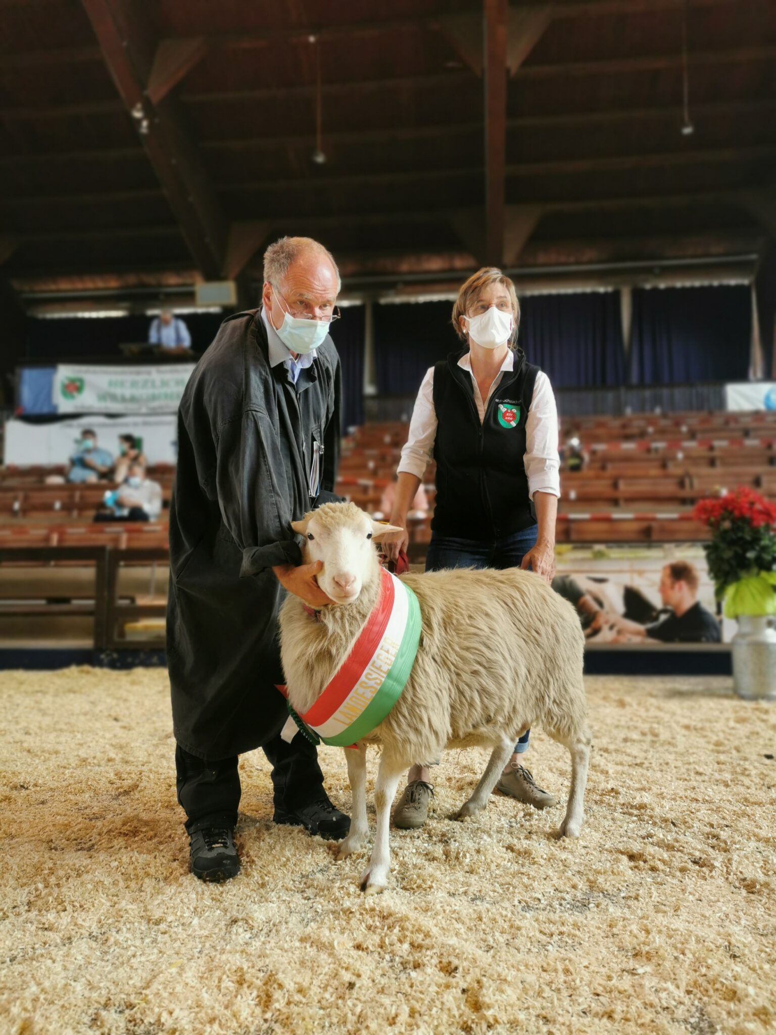 Schaftage – Rassevielfalt und beste Genetik | Schafe schützen